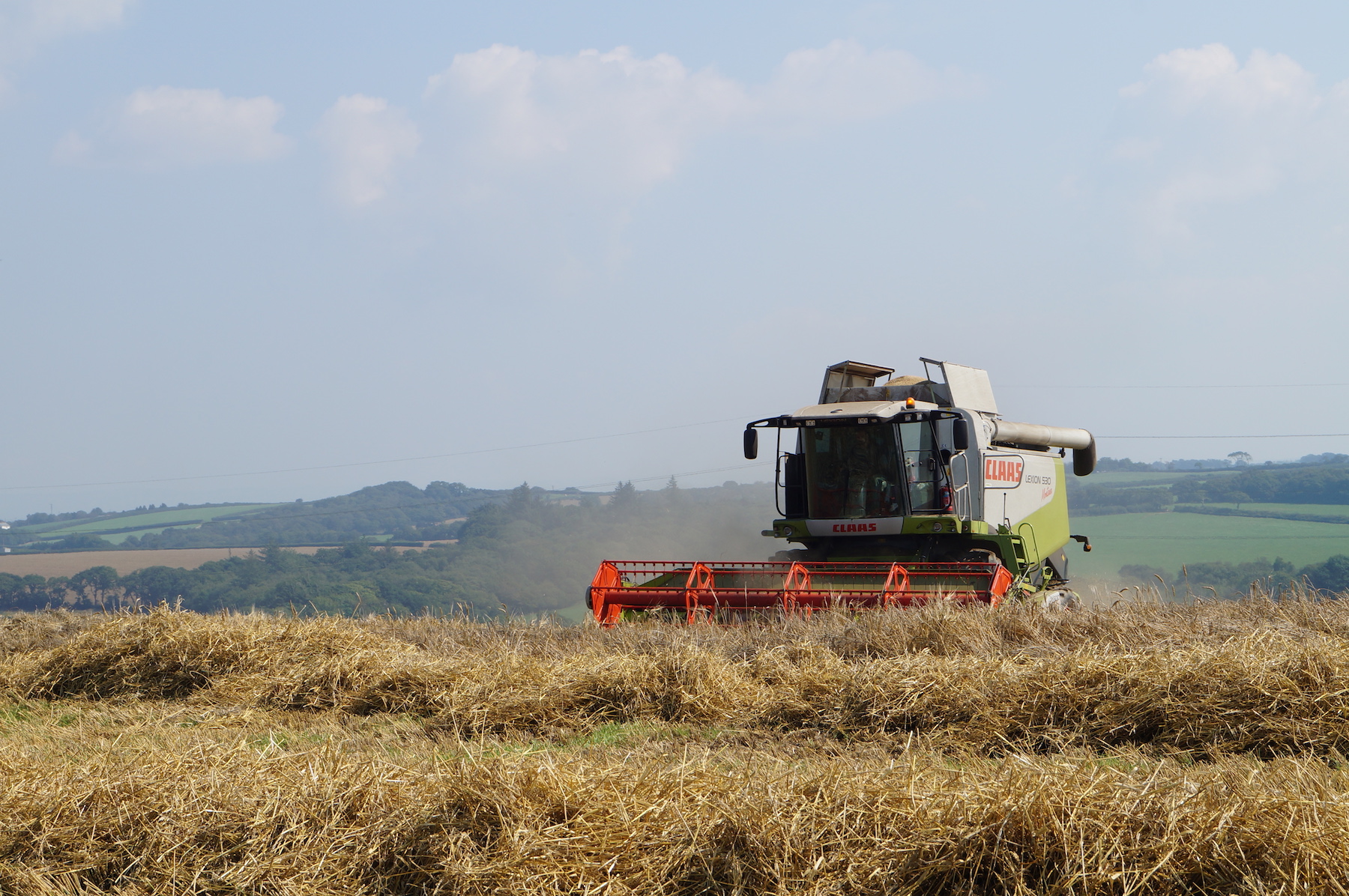 cornish-farmhouse-bacon-farming57 - Cornish Farmhouse Bacon Co.